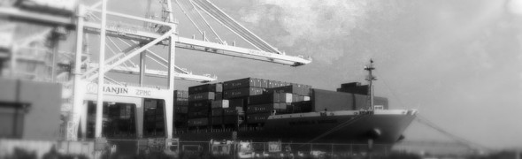 Reactscape » Project 0.1 . Research: Site Systems