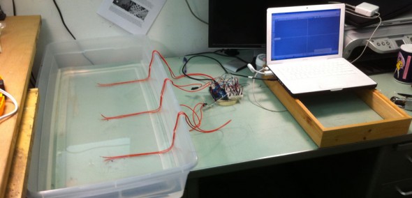 Reactscape » Archive » Land Building